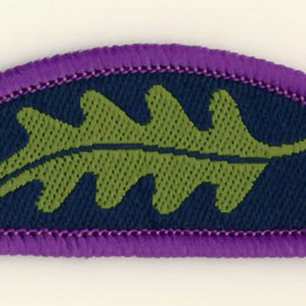 Core Badges – Stroud & Tetbury District Scout Shop
